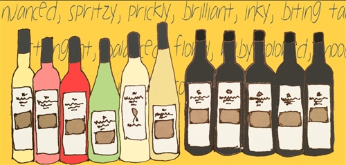 Wine Classification Glossary - WineBags.com